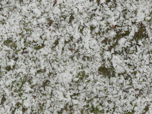 frozen ground texture 0037 - Texturelib